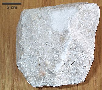 O Que é Reatividade do Calcário? Para Que Serve? | Mundo Ecologia