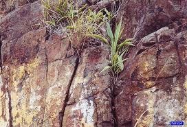 Como Ocorre o Processo de Intemperismo? O Que É? – Mundo Ecologia