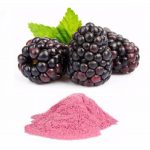 Como Consumir Pó de Amora? Quais os Seus Benefícios? | Mundo Ecologia