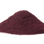 Como Consumir Pó de Amora? Quais os Seus Benefícios? | Mundo Ecologia