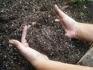 Como Identificar Solos Ácidos Neutros e Alcalinos? | Mundo Ecologia