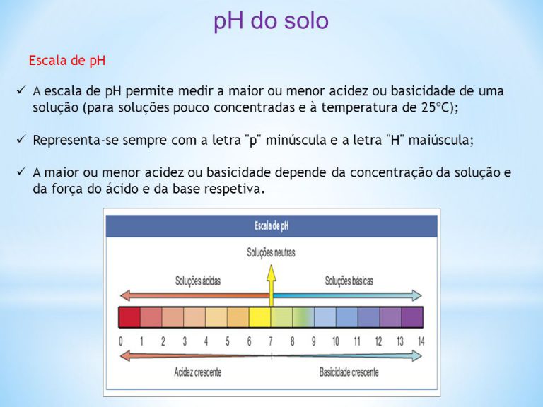 Como Fazer um Teste de pH Caseiro? Passo a Passo | Mundo Ecologia