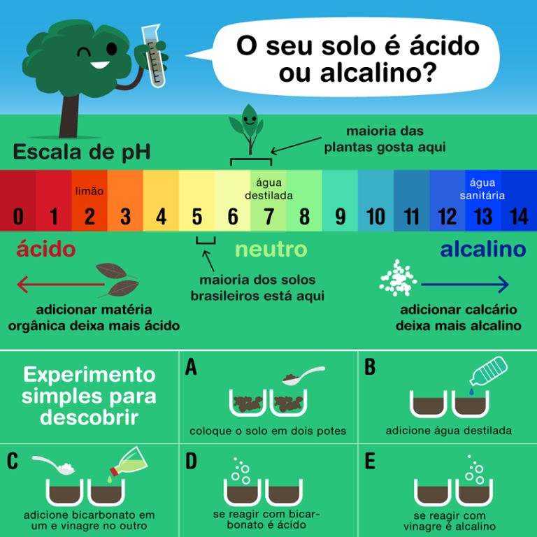 Como Identificar Solos Ácidos Neutros e Alcalinos? | Mundo Ecologia