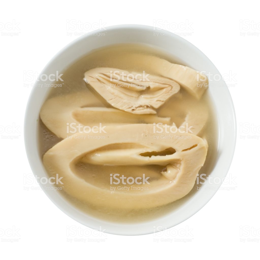 Bambu Chinês: Características, Como Cultivar e Fotos | Mundo Ecologia