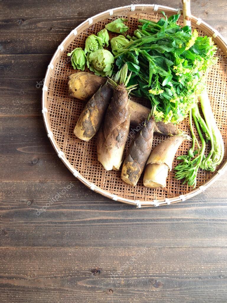 Bambu Chinês: Características, Como Cultivar e Fotos | Mundo Ecologia