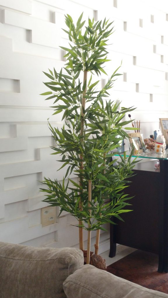 Bambu Japonês: Características, Como Cultivar e Fotos | Mundo Ecologia