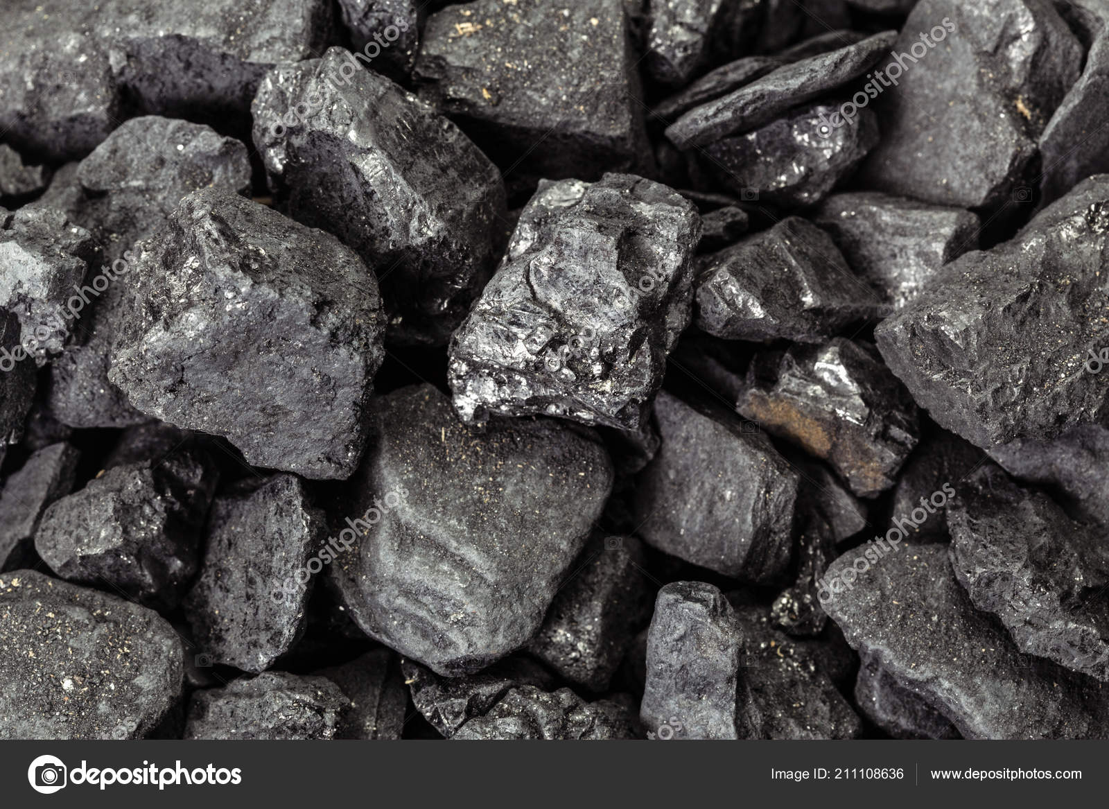 Qual a Diferença de Carvão Vegetal e Carvão Ativado? | Mundo Ecologia