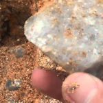 Que Tipo de Rocha é o Cascalho? Como Ele é Formado? – Mundo Ecologia