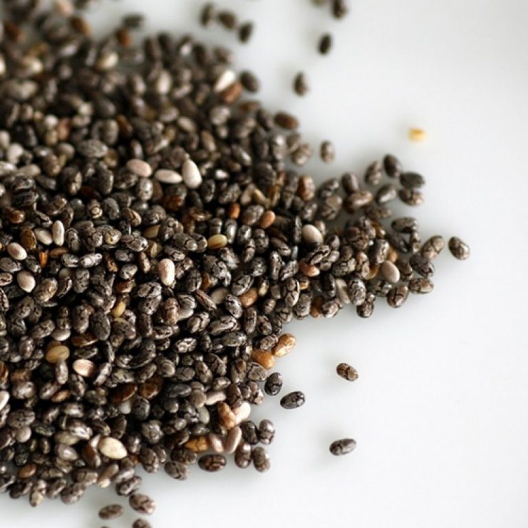 Pode Comer Chia Crua? Faz Bem Para a Saúde Assim? | Mundo Ecologia