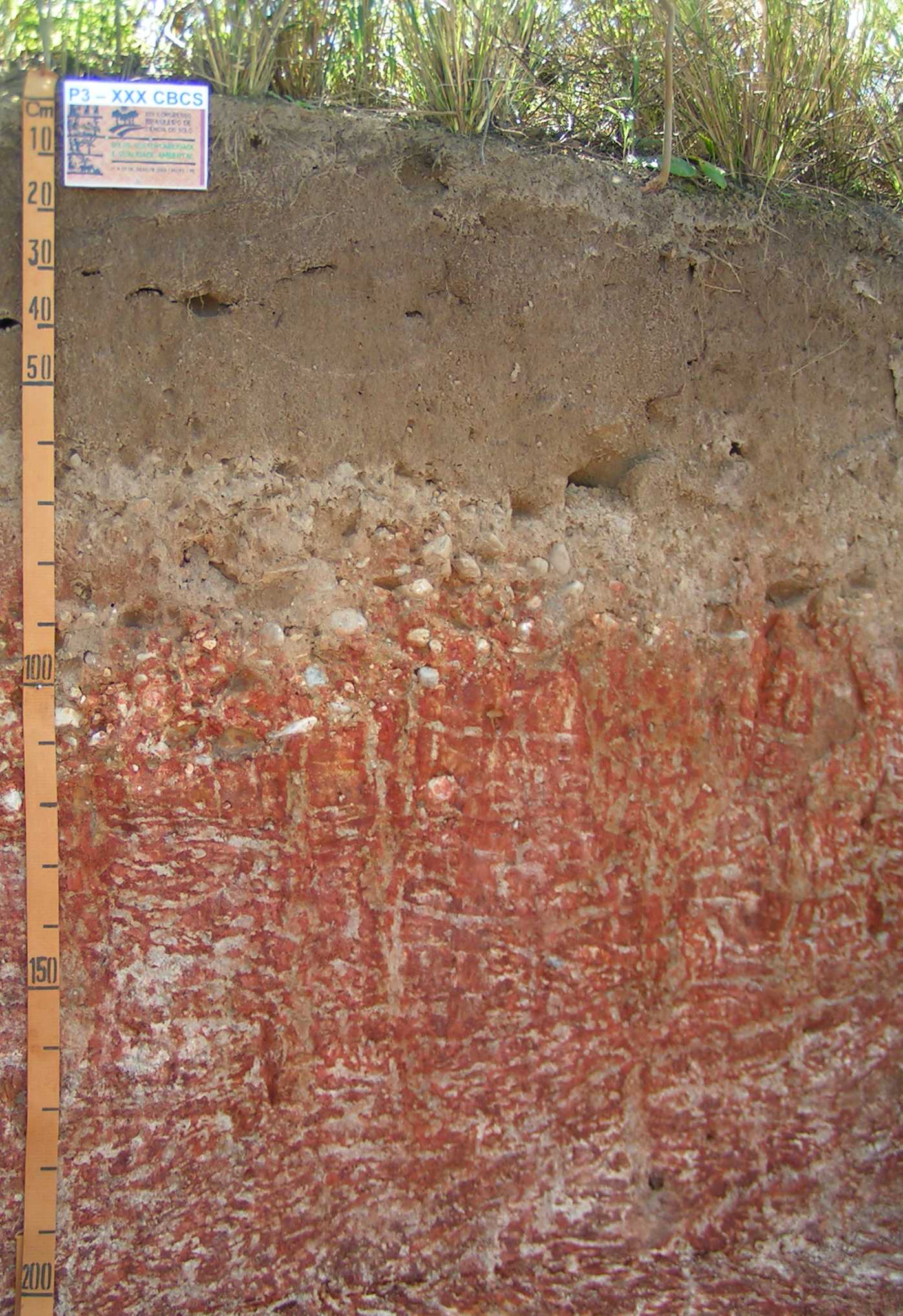 O Que é Horizonte Plíntico? Como Ele Acontece? | Mundo Ecologia