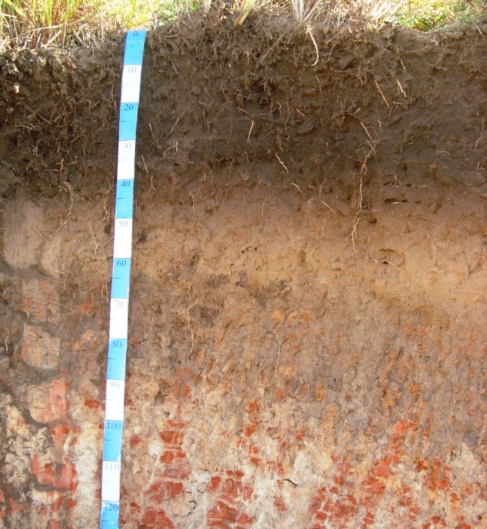 O Que é Horizonte Plíntico? Como Ele Acontece? | Mundo Ecologia