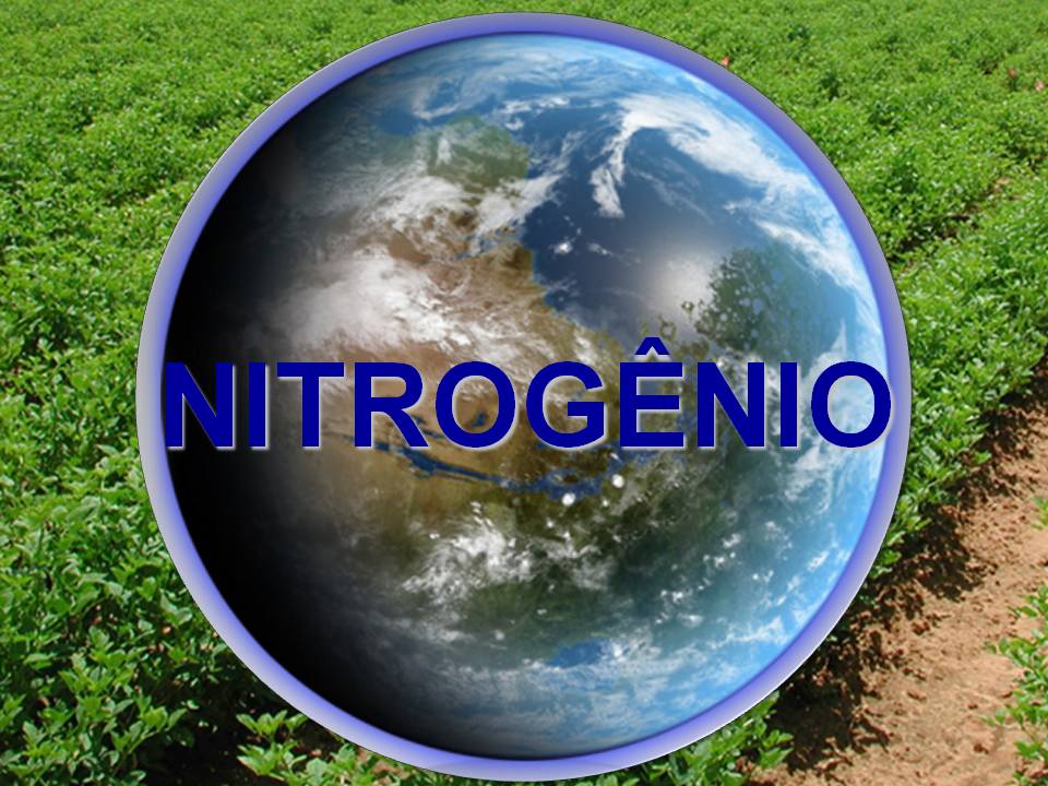 Função Do Nitrogênio Na Planta - RETOEDU