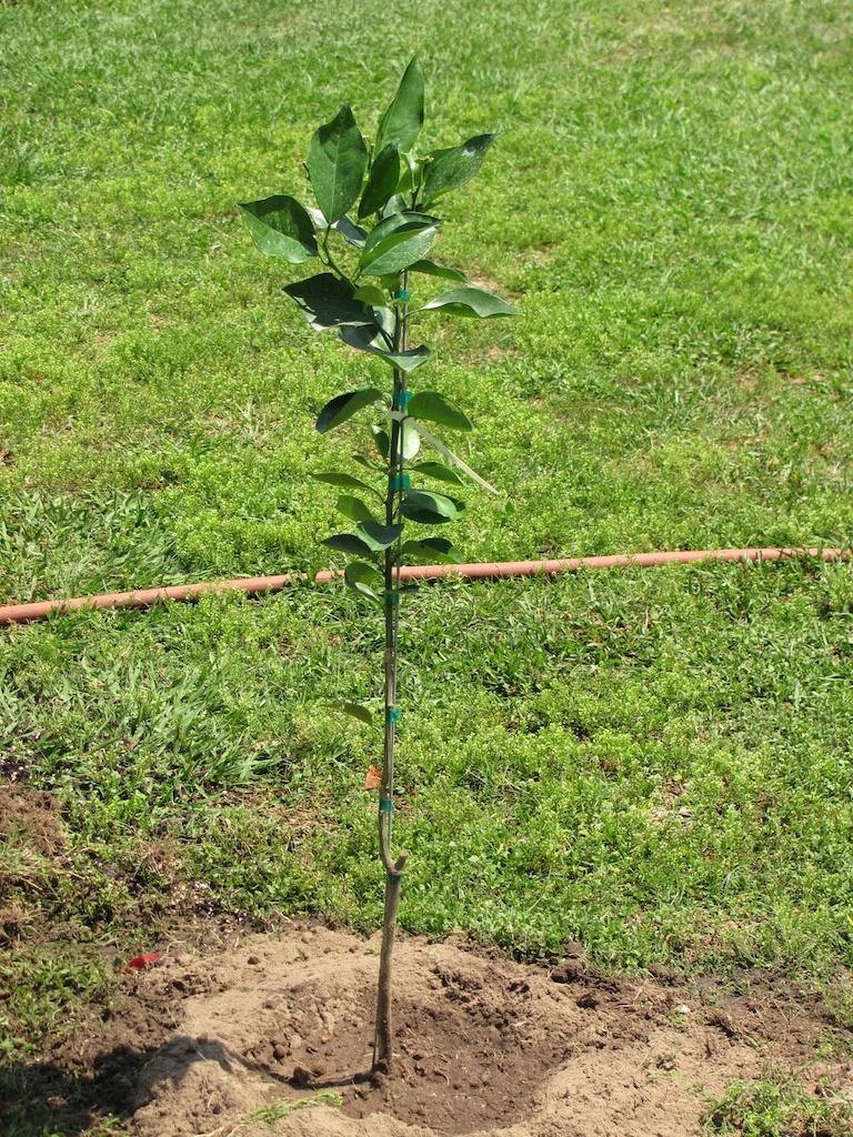 O Que é Encostia? Para que Serve a Encostia? | Mundo Ecologia