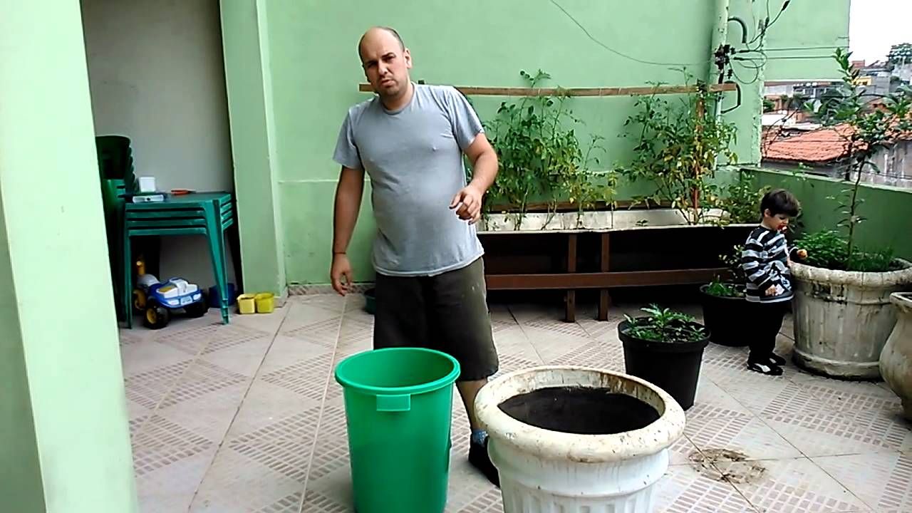 O Que é Encostia? Para que Serve a Encostia? | Mundo Ecologia