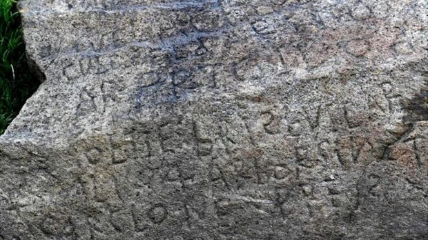 Qual o Tipo de Rocha Permite a Fossilização? O Que é? | Mundo Ecologia