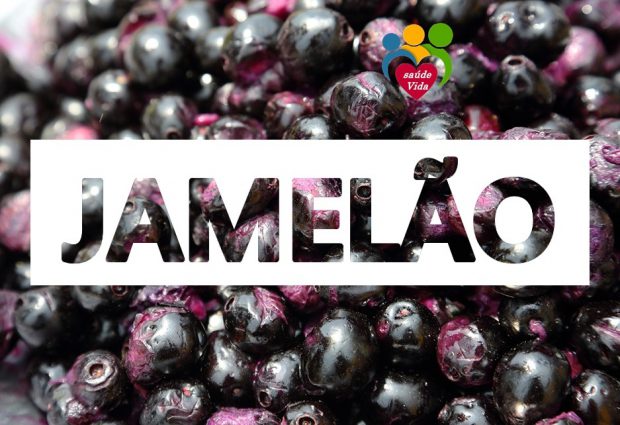 Tudo Sobre o Jamelão: Características e Nome Científico | Mundo Ecologia