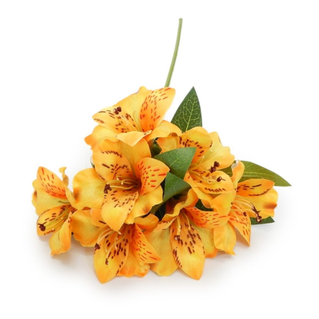 Flor Astromelia Amarela: Características, Cultivo E Fotos – Mundo Ecologia