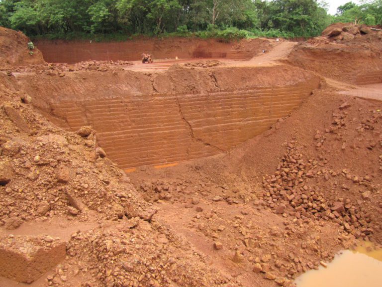 Qual a Diferença entre Latossolos e Argissolos? – Mundo Ecologia