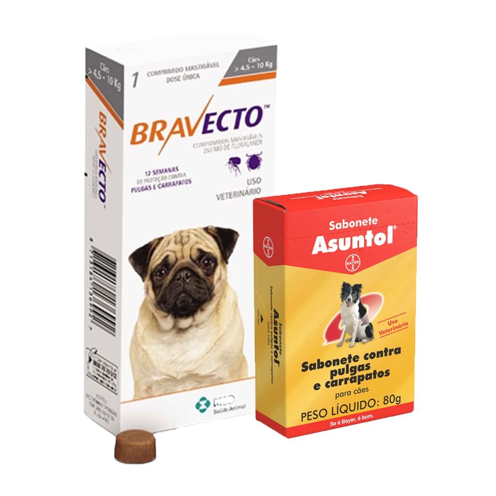 Infestação de Pulgas: O Que Fazer? Como Acabar Com Ela? | Mundo Ecologia