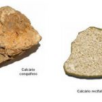 Quais São os Tipos de Calcário e Para Que Serve Cada Um? | Mundo Ecologia