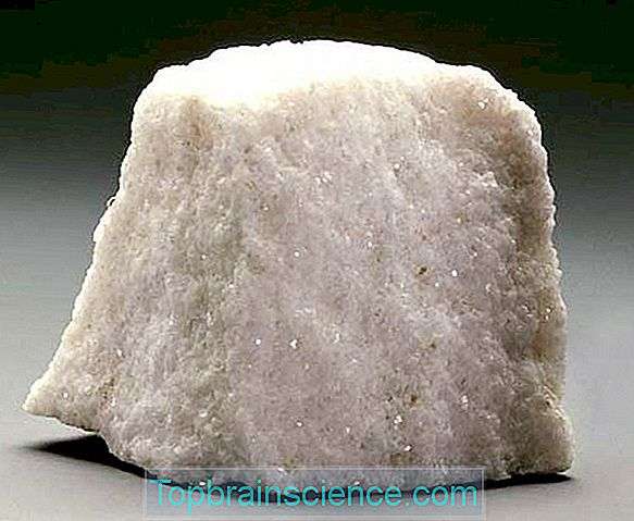 Quais São os Tipos de Calcário e Para Que Serve Cada Um? | Mundo Ecologia