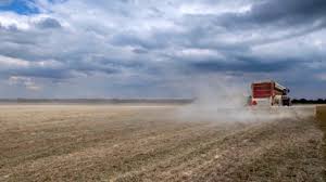 Quais São os Tipos de Calcário e Para Que Serve Cada Um? | Mundo Ecologia