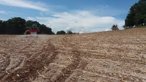 Quais São os Tipos de Calcário e Para Que Serve Cada Um? | Mundo Ecologia