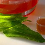 Para Que Serve a Folha de Malvarisco? | Mundo Ecologia