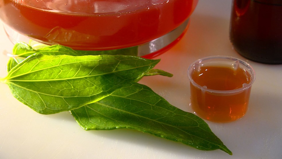 Para Que Serve a Folha de Malvarisco? | Mundo Ecologia