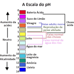 O que Provoca a Acidez do Solo? O que Neutraliza Acidez? | Mundo Ecologia