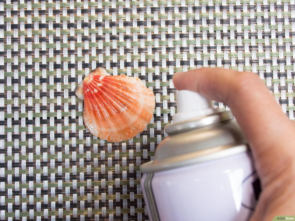 Como Tirar O Mau Cheiro Das Conchas Do Mar? | Mundo Ecologia