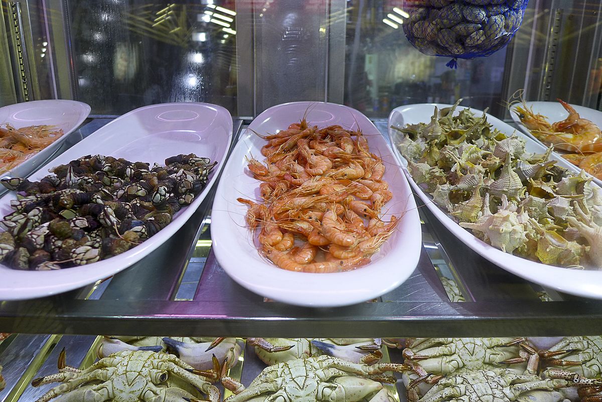 Historia do Marisco e Origem do Animal | Mundo Ecologia