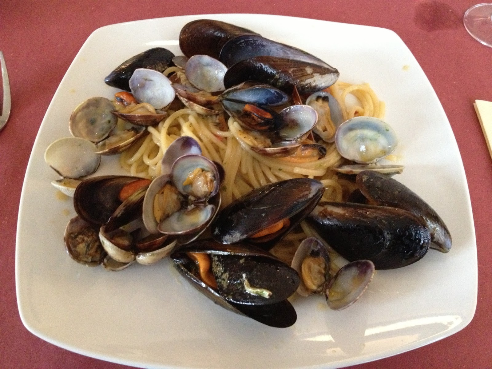 Historia do Marisco e Origem do Animal | Mundo Ecologia