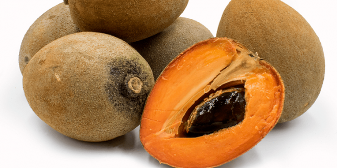 Frutas Que Começam Com a Letra S: Nome e Características | Mundo Ecologia