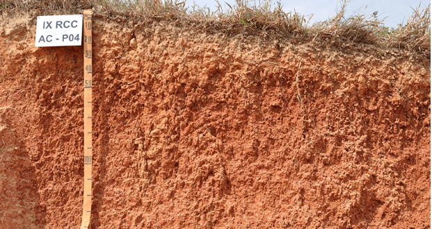 O Que é Lessivagem? Como Ela Funciona? | Mundo Ecologia