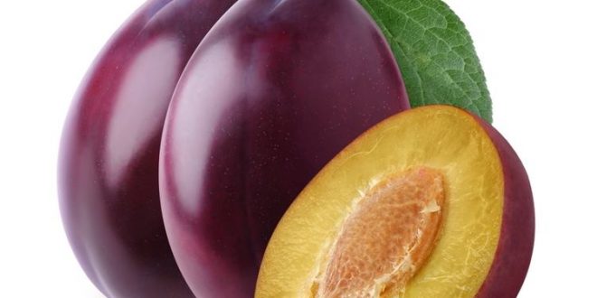 Frutas Que Começam Com a Letra Z: Nome e Características | Mundo Ecologia