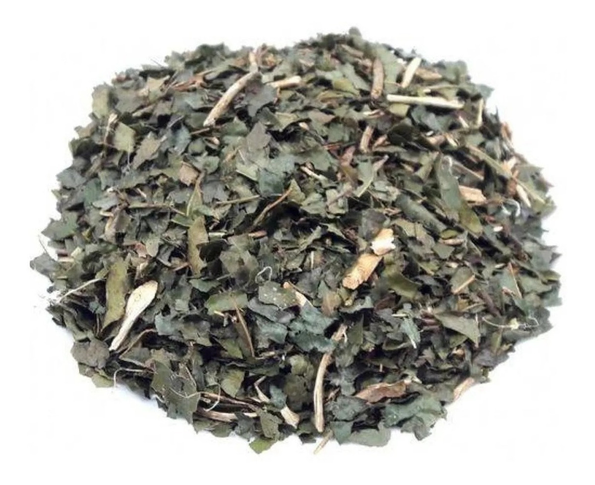 Para Que Serve Chá de Folha de Porangaba? – Mundo Ecologia