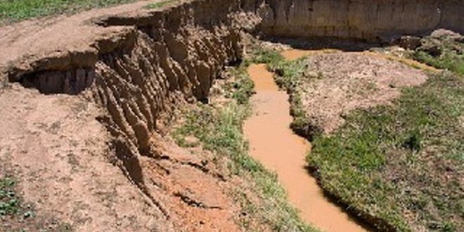 Como Evitar O Processo De Lixiviação? O Que É E Como Funciona | Mundo ...