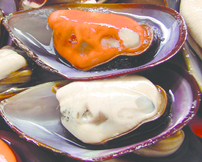 Qual é a Diferença de Marisco, Mexilhão, Ostra e Sururu? | Mundo Ecologia