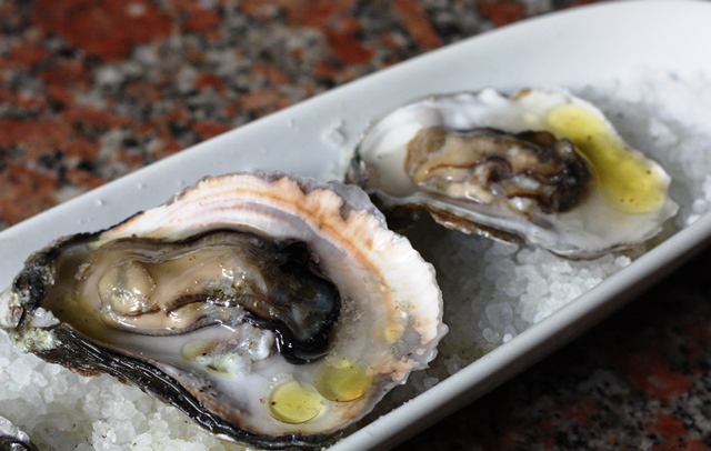 Qual é a Diferença de Marisco, Mexilhão, Ostra e Sururu? | Mundo Ecologia