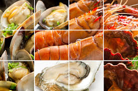 Qual é a Diferença de Marisco, Mexilhão, Ostra e Sururu? | Mundo Ecologia