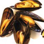 Qual é a Diferença de Marisco, Mexilhão, Ostra e Sururu? | Mundo Ecologia