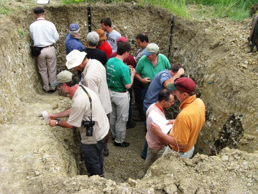 O Que É Pedologia? O Que Ela Estuda E Como Funciona? | Mundo Ecologia