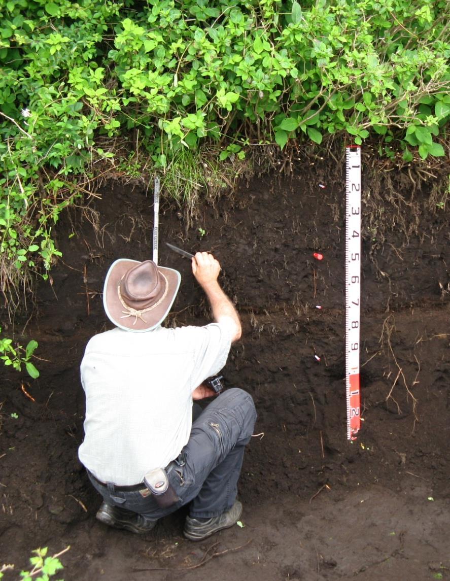 O Que É Pedologia? O Que Ela Estuda E Como Funciona? | Mundo Ecologia