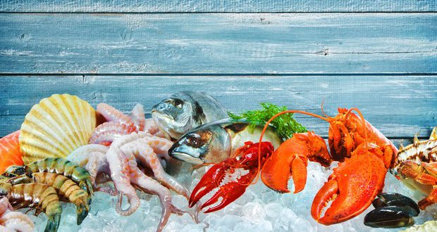 Quais os Nomes dos Frutos do Mar? Quais São Eles? | Mundo Ecologia