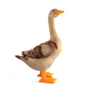 Ciclo de Vida do Pato: Quantos Anos Eles Vivem? | Mundo Ecologia