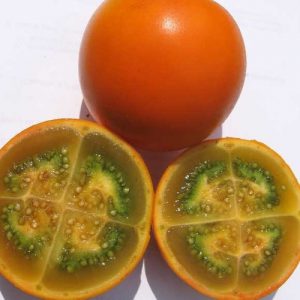 Frutas que Começam com a Letra N: Nome e Características – Mundo Ecologia