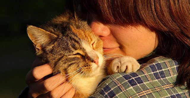 Como o Gato Vê o Ser Humano? | Mundo Ecologia