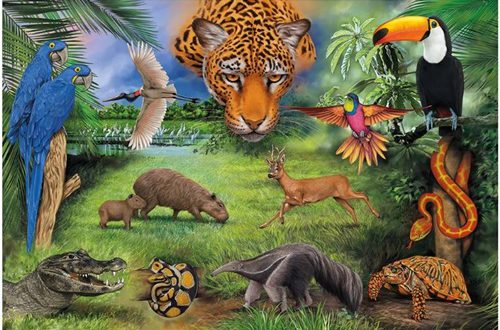 Que Animais Representam a Fauna Brasileira? | Mundo Ecologia