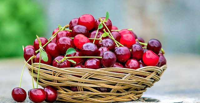 Tem Cereja no Brasil? | Mundo Ecologia